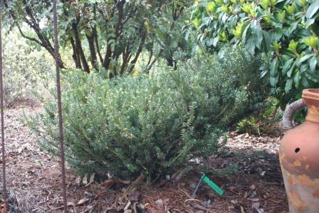 Hawksridge Farms -- Plant Information