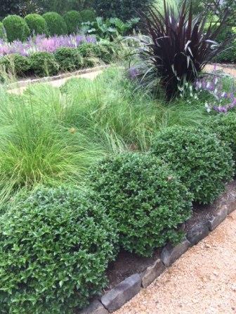 Hawksridge Farms -- Plant Information